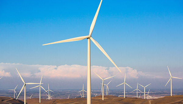 Healthcare Group Paves the Way to Carbon Neutrality | Case Studies | NEER